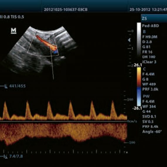 Mindray Z50 Vet – MedicalVet